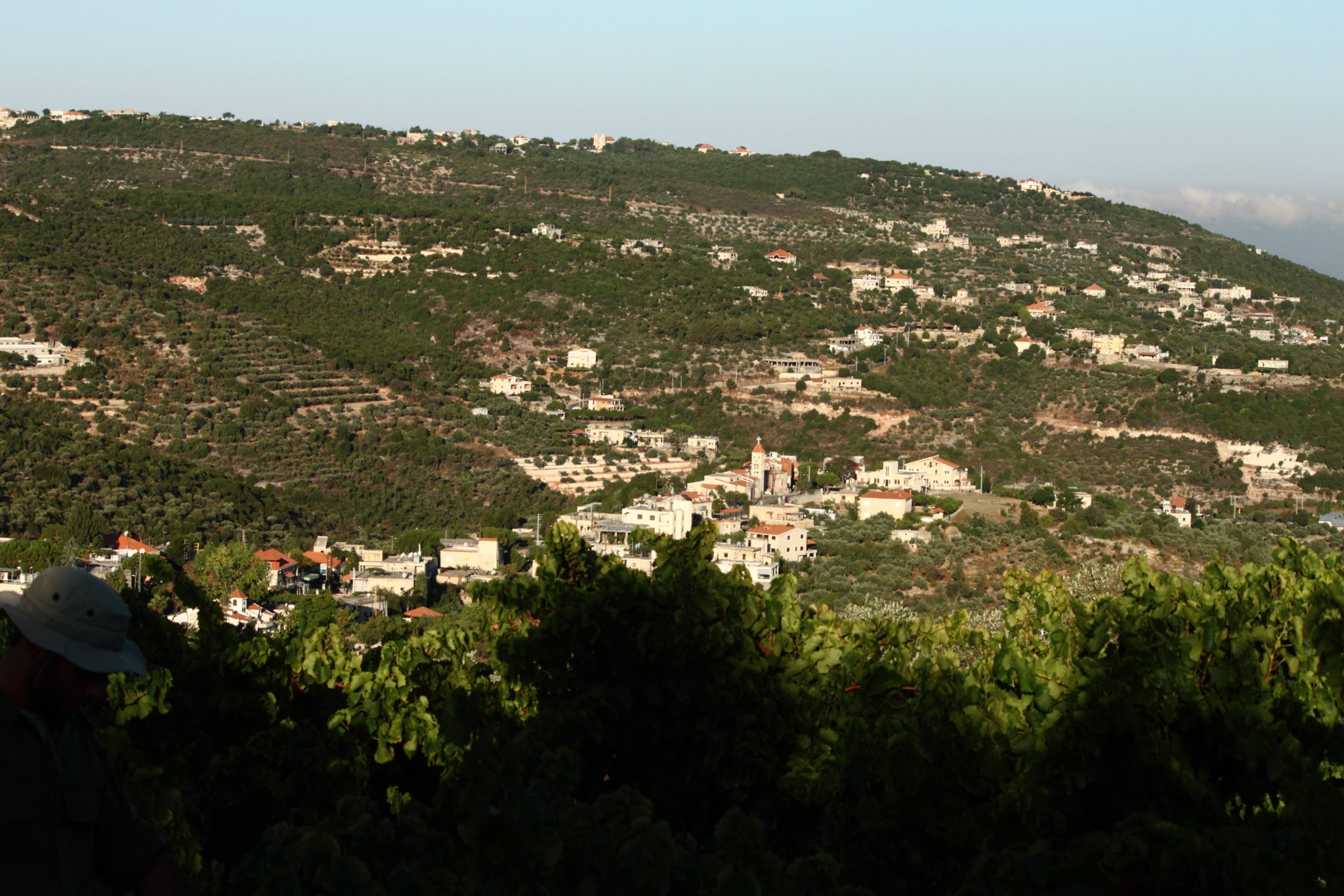 Wine from Lebanon | Domaine S.NAJM