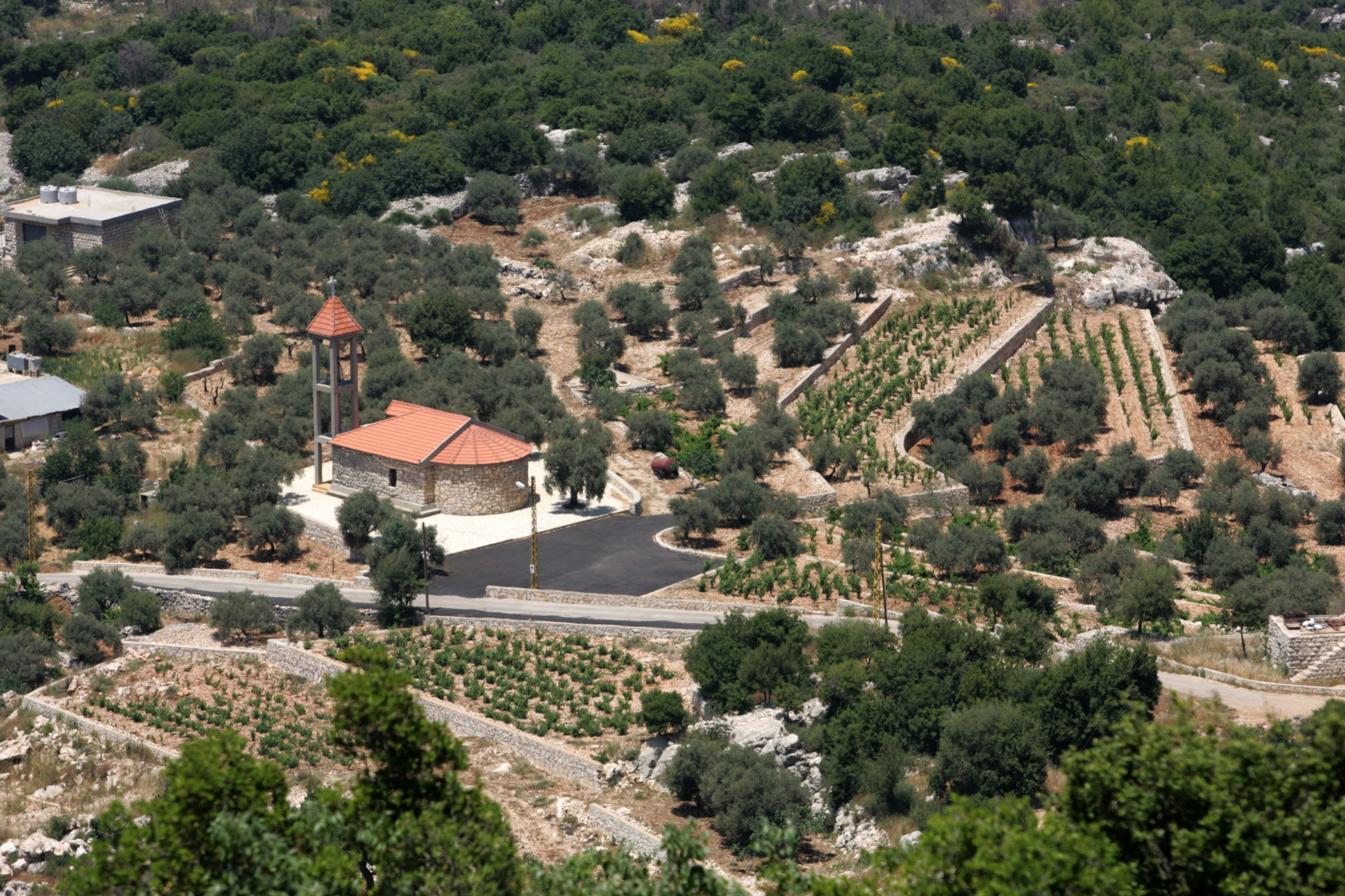 Domaine S.NAJM - Wine From Lebanon